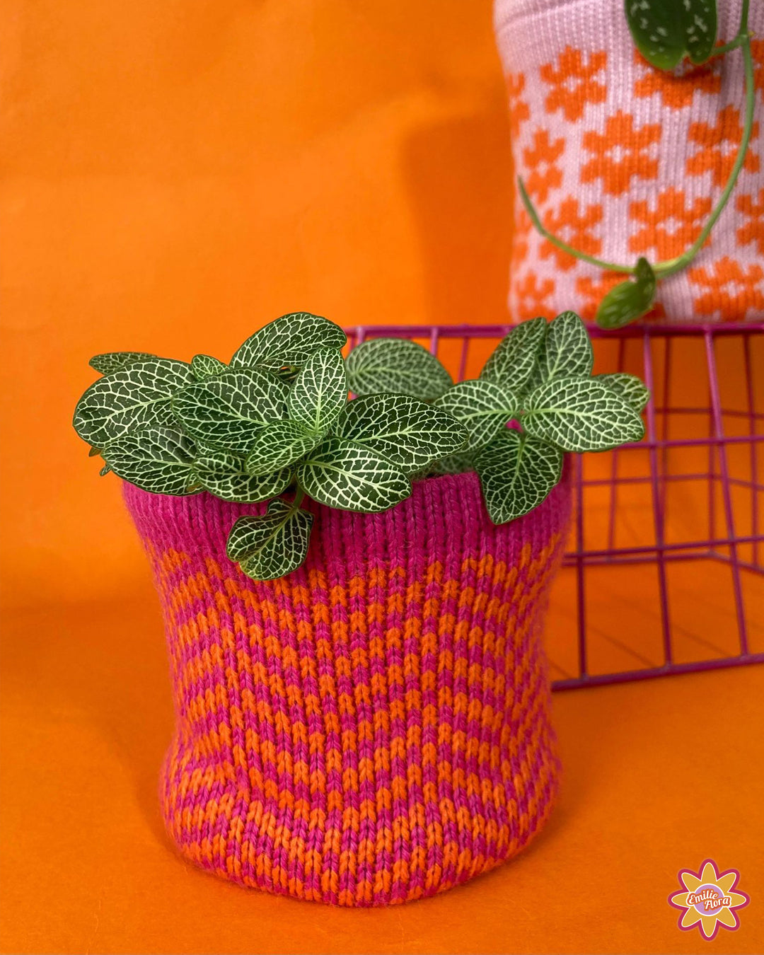 Pot Covers – Emilie Flora